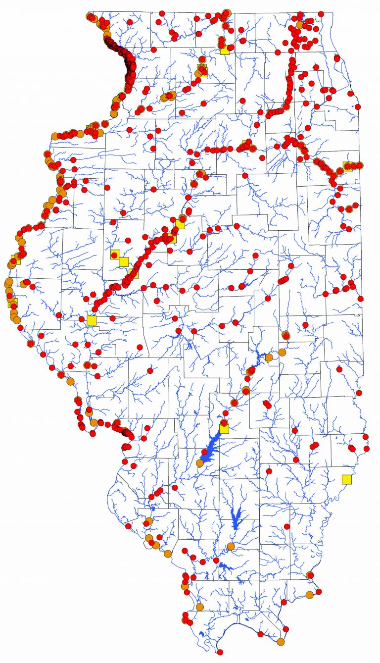 Fish Friday with... the Walleye - Illinois Press Blog Walleye Illinois